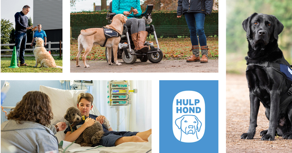 Wat doet Hulphond Nederland?